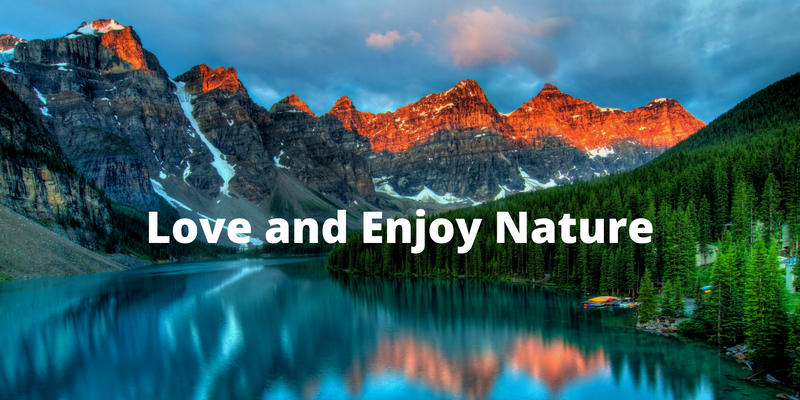 NaturVibes